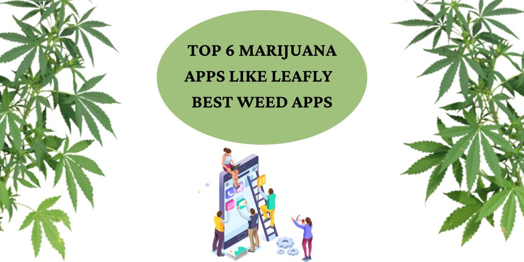 Top 6 Marijuana Apps Like Leafly | Best Weed Apps